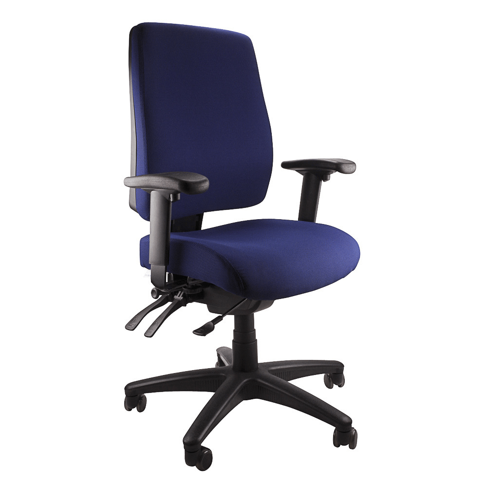 Ergoform Ergonomic Office Chair - No More Pain Ergonomics