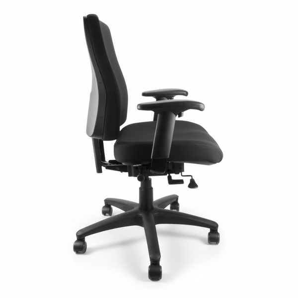 Ergo Synchro Ergonomic Chair - No More Pain Ergonomics